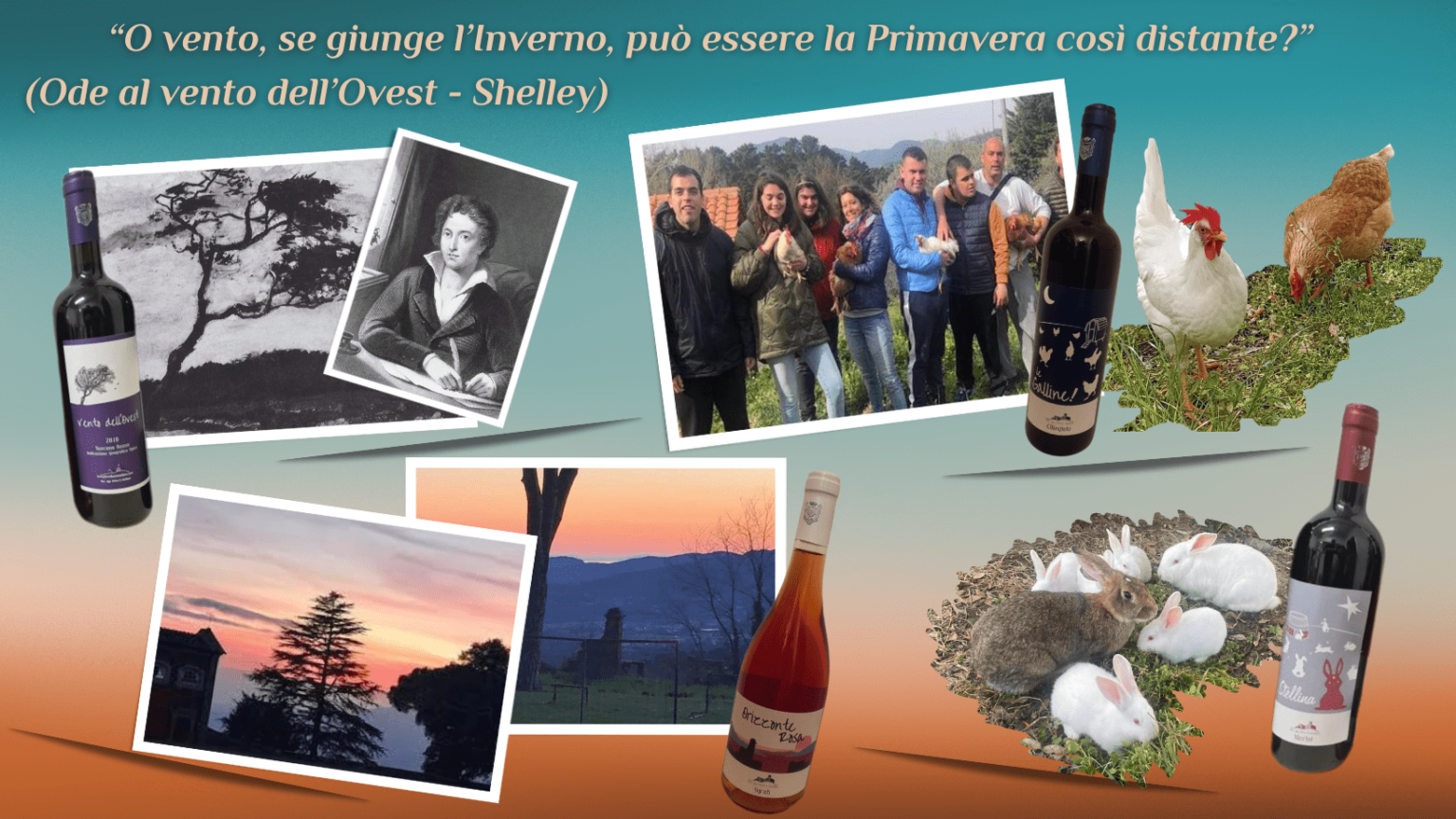 Progetto Scipione - LoVe BioWines